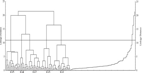 Dendrogram Left And Linkage Distance Graph Right Download Scientific Diagram
