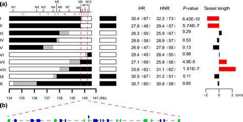 Complex Genetic Architecture Underlies Maize Tassel Domestication Xu
