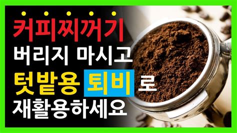 커피 찌꺼기 퇴비 만들기｜텃밭에 최고예요 버리지 마세요 ｜ 텃밭영양제 Diy Youtube