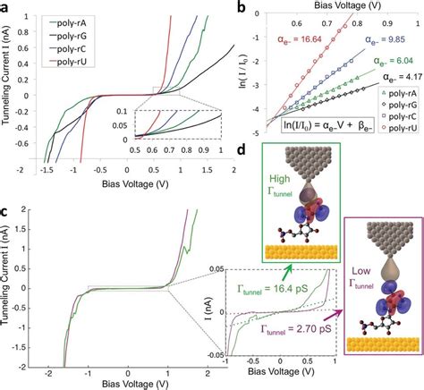 Extracting Additional Biophysical Parameters From The Tunneling Download Scientific Diagram