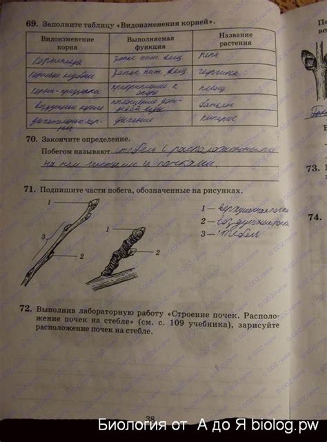 Биология 6 класс в таблицах и схемах пасечник