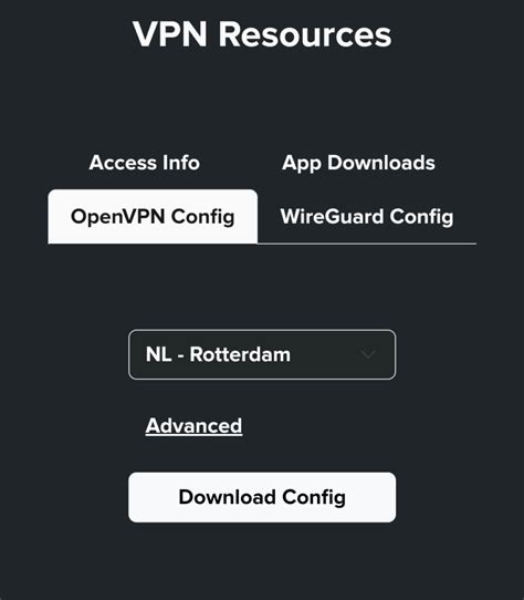 connect openvpn windows