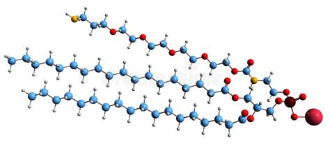 3d Image Of Phospholipid Peg Nh2 Skeletal Formula Stock Illustration Illustration Of Precursor