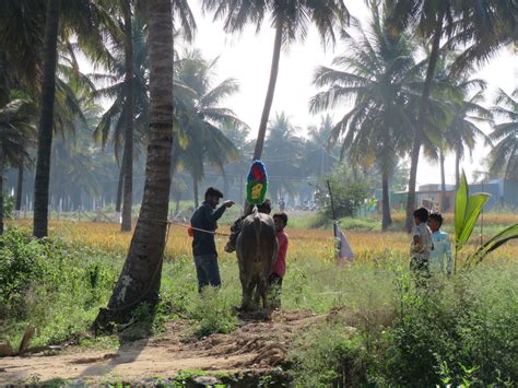 Img0115 Deepa Mohan Flickr