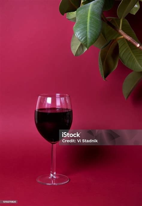 밝은 빨간색 배경클로즈업에 레드 와인 한 잔을 들고 이국적인 Plantgreen 잎이 레드 와인에 악센트를 더하여 구성에 특별한 매력을 선사합니다 복사 공간을 복사합니다