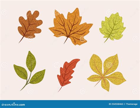 Set Of Vector Leaves With Texture And Autumn Stock Vector