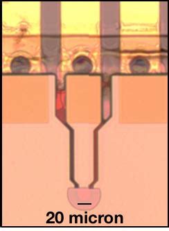 Times Faster Processing Innovative Detector For Large Scale Optical Neural Networks