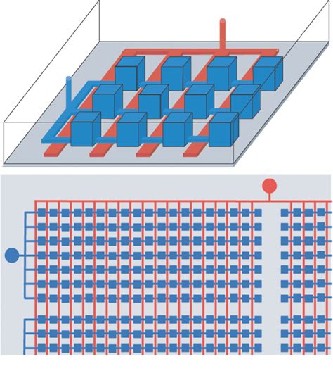 Microfluidic Digital Pcr Enables Multigene Analysis Of Individual Environmental Bacteria Science