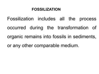 Fossils Fossilization Ppt