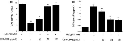 Effect Of Curcumin Cyclodextrin Polymer Cur Cdp Pretreatment On The Download Scientific