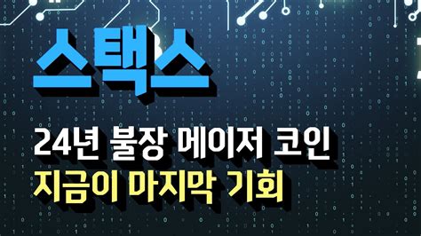 스택스 24년 불장 메이저 코인 지금이 마지막 기회 Youtube