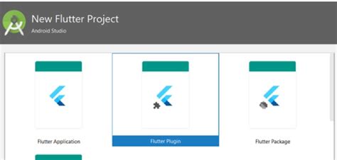 How To Use Packages Plugins In Flutter Devops Support