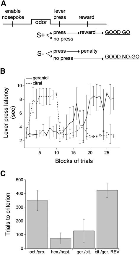 Behavioral Protocol And Results A Behavioral Paradigm Schematic Download Scientific Diagram