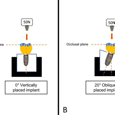 Schematic Description Of Experimental Design Using Flat Jig And 20 Download Scientific Diagram