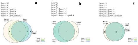 Distribution Of Overlapping Nodes In Selected Areas A Area1 B Download Scientific Diagram