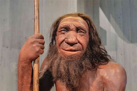Los Humanos Modernos También Llevamos Adn Denisovano Un Homínido