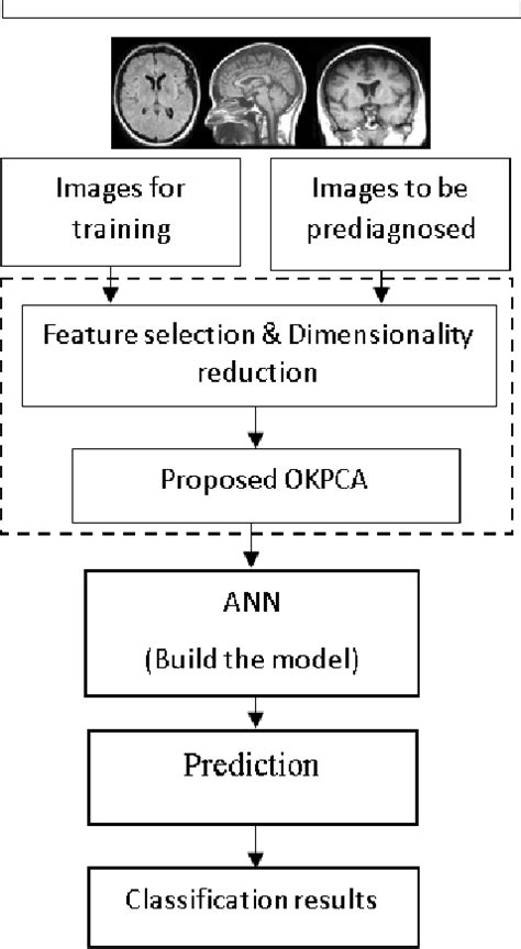 Figure 1 From An Optimized Computer Aided Diagnosis System For Mri Classification Semantic Scholar