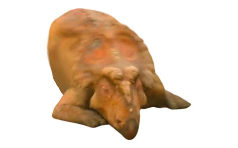 Patchi By Dracoawesomeness On Deviantart