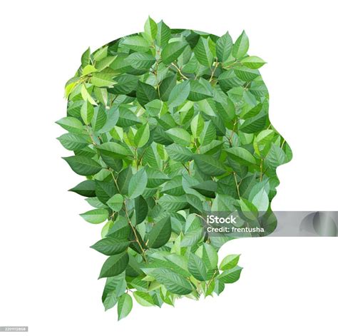 녹색 잎으로 만든 사람의 옆모습입니다 흰색에 절연되어 있습니다 폐기물 제로 책임감 있는 소비에 대한 전략 접근 방식의 지속