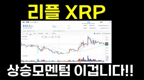 리플xrp Sec소송 합의 떡상열차 타세요 Youtube