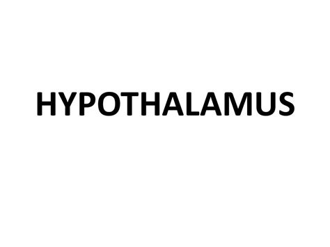 Hypothalamus Pptx