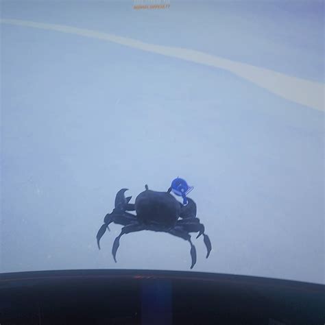 Screen Flickering While Gaming Rpcmasterrace