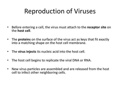 PPT Viruses PowerPoint Presentation Free Download ID 1899956