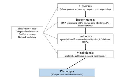 Cascade Of The Omics Based Approach In Pd Research The Key Omics Download Scientific Diagram