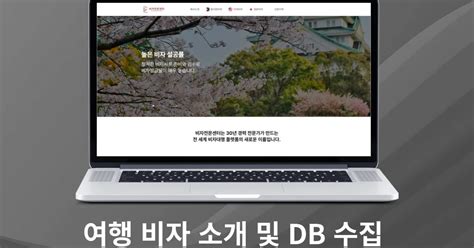 여행 비자 소개 및 db 수집 패스트웹 숨고 숨은고수