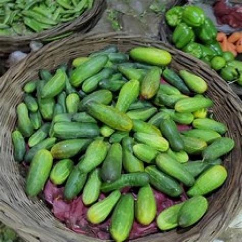 Food Ingredients Dataset Object Detection Model V4 2023 10 06 11 10pm By Food Recipe