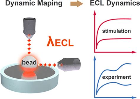 Dynamic Mapping Of Electrochemiluminescence Reactivity In Space