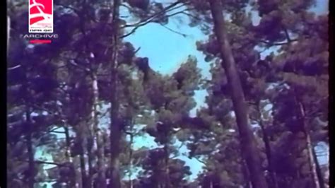 აფხაზეთის მარგალიტი Youtube