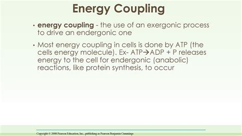 Chapter 6 Metabolism Energy And Enzymes Ppt Download