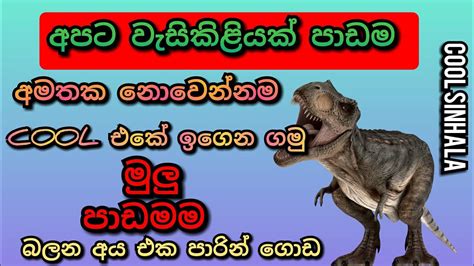 අපට වැසිකිළියක් පාඩම ♥️ Cool එකට ඉගෙන ගමු Cool Sinhala Youtube