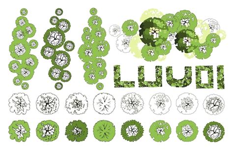 Architectural Shrubs Symbol