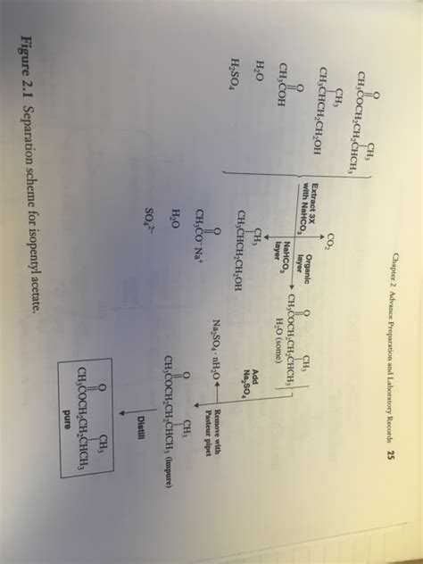 Solved Draw A Separation Scheme For Isolating