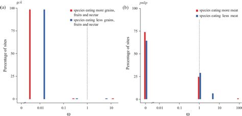 Patterns Of Natural Selection On The Carbohydrase Gene Gck And The