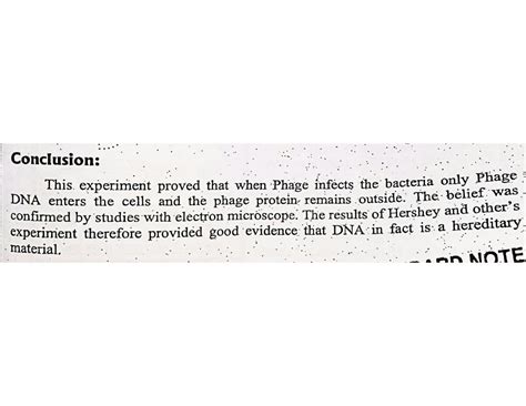 SOLUTION DNA Structure Studypool SOLUTION DNA Structure Studypool