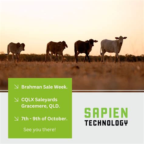 sapien technology pty ltd on linkedin the sapien technology team are