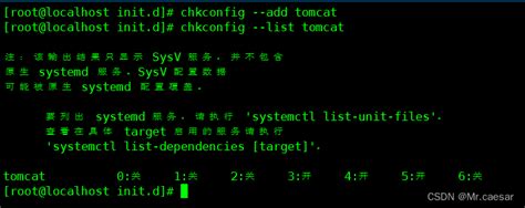 国产服务器tomcat开机自启 麒麟系统设置tomcat开机自启动 csdn博客