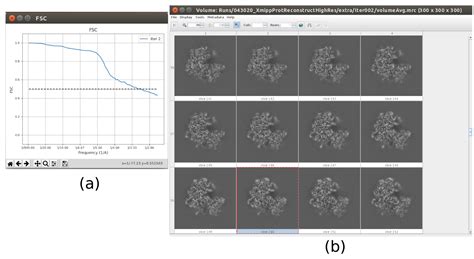 cryo em and single particle analysis with scipion