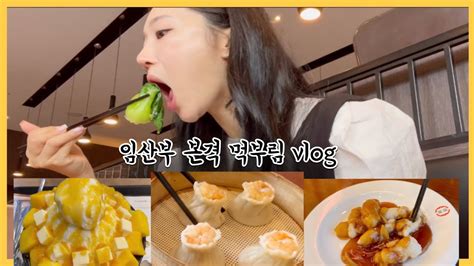 Vlog 임산부 본격 먹부림 시작 임산부 화상치료는 어떻게 하나요 무지개가 떴어요 임신21주차 몸무게는