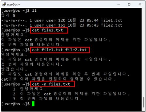 리눅스 cat 명령어 파일 내용 출력하기