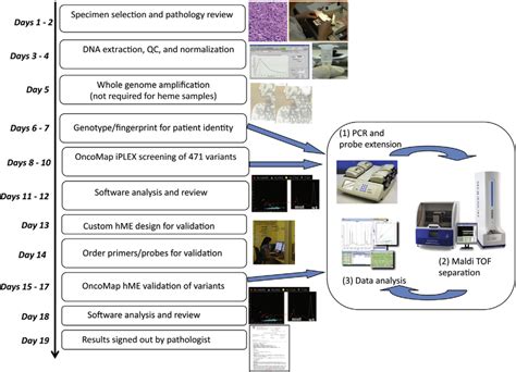 Technical And Bioinformatics Steps In The Clinical Diagnostics