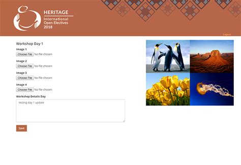 Website Wireframe Layout On Behance