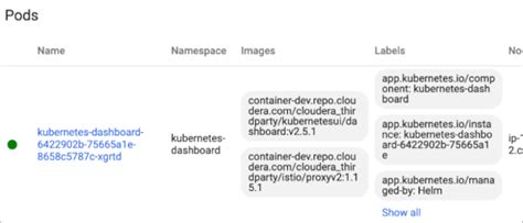 Using The K8s Dashboard