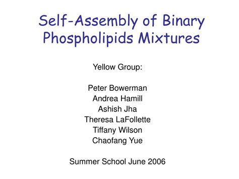 ppt self assembly of binary phospholipids mixtures powerpoint