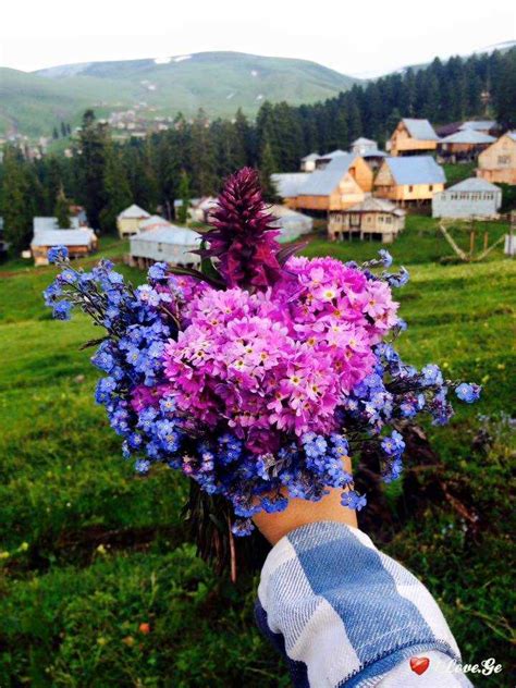 გაზაფხულო 4love Ge სასიყვარულო საიტი ისტორია წიგნი ჩანახატი ტესტი