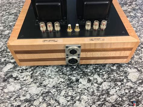 Aric Audio Super 300b Set Dual Chassis Custom Built Amplifier Emission