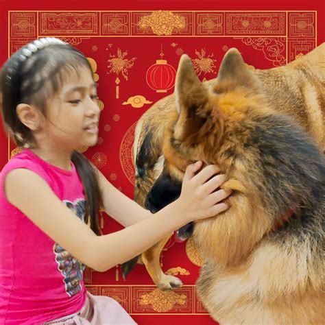 Remotasks Curious Individuals Who Apply To The Remotasks Platform Are Already Considered Crowd